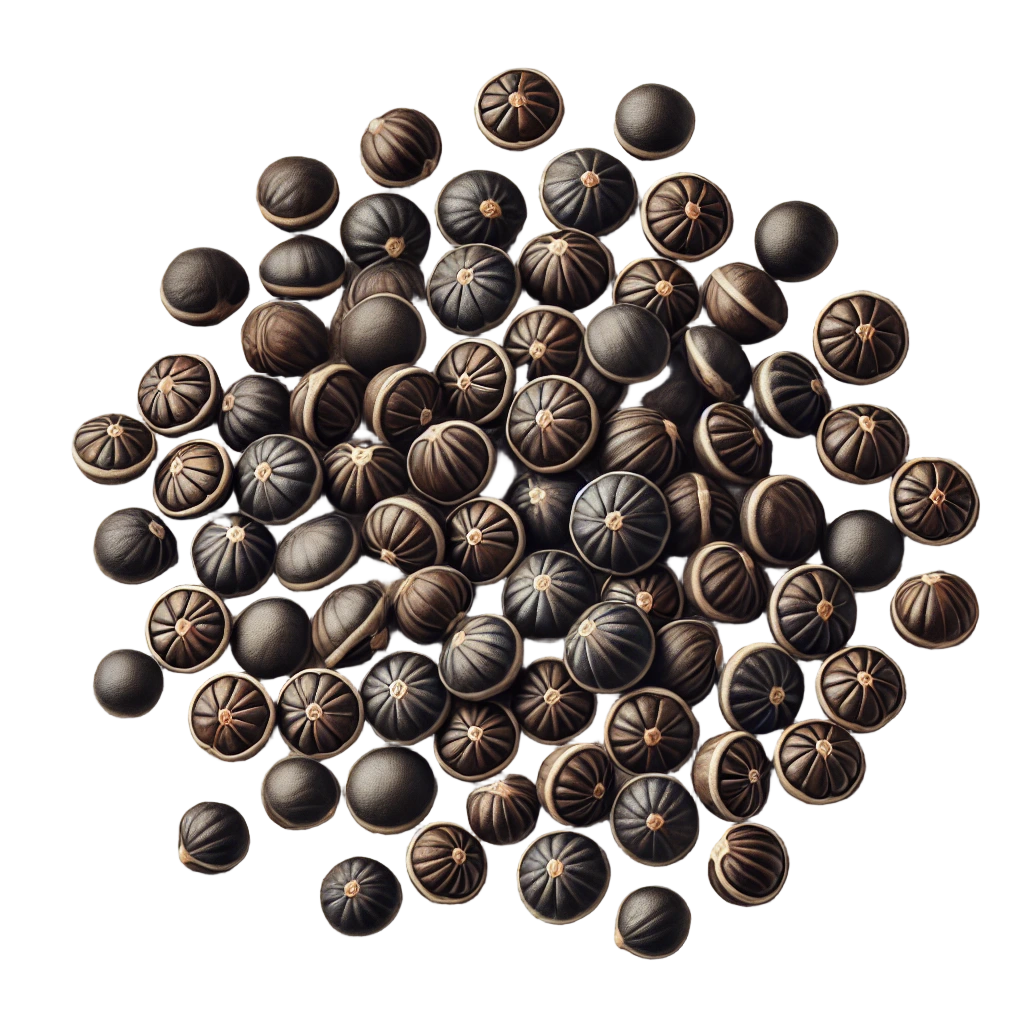 seed
